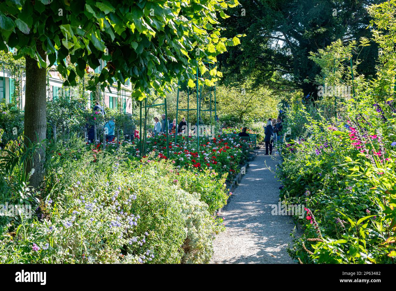 the flowers and plants in the gardens of monet in france Stock Photo ...