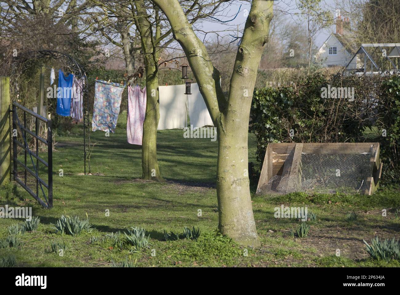 washing line in winter garden with coloured fabric droopy old washing ...