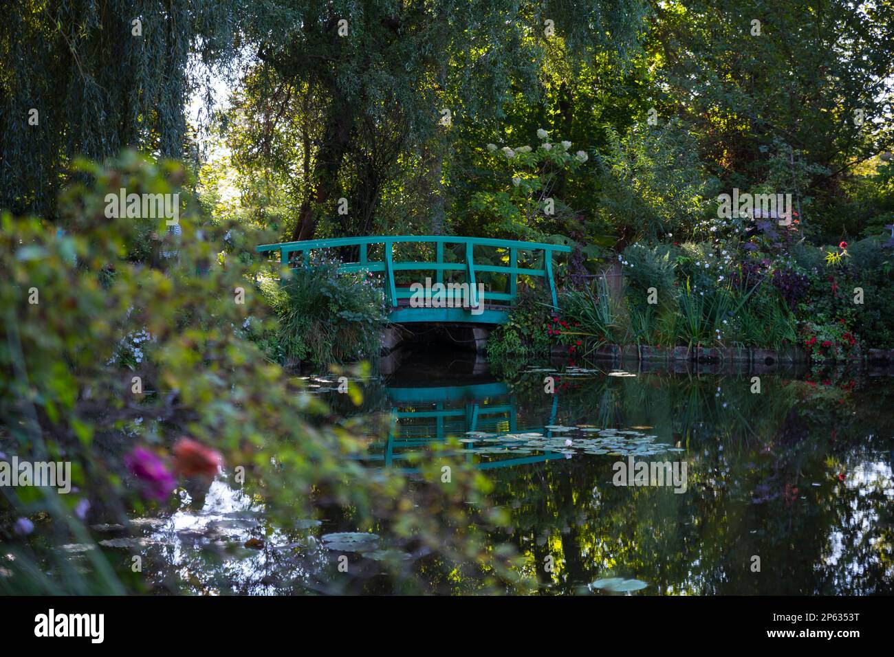 the flowers and plants in the gardens of monet in france Stock Photo ...
