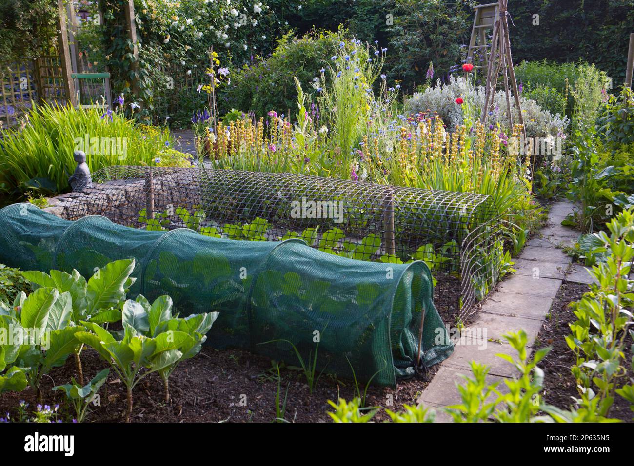 Traditional planting of cottage kitchen garden with cut flowers planted ...