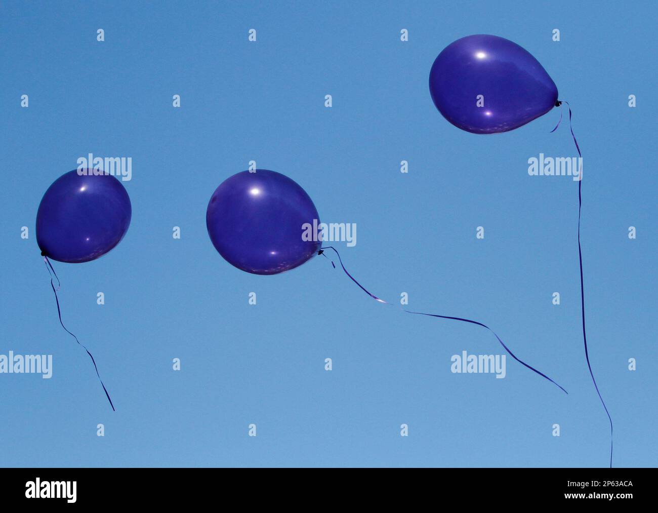 In this photo taken Monday, Oct. 15, 2012, attendees release balloons ...