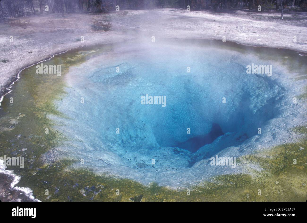 United States. Wyoming. Morning Glory Pool in the Yellowstone national ...