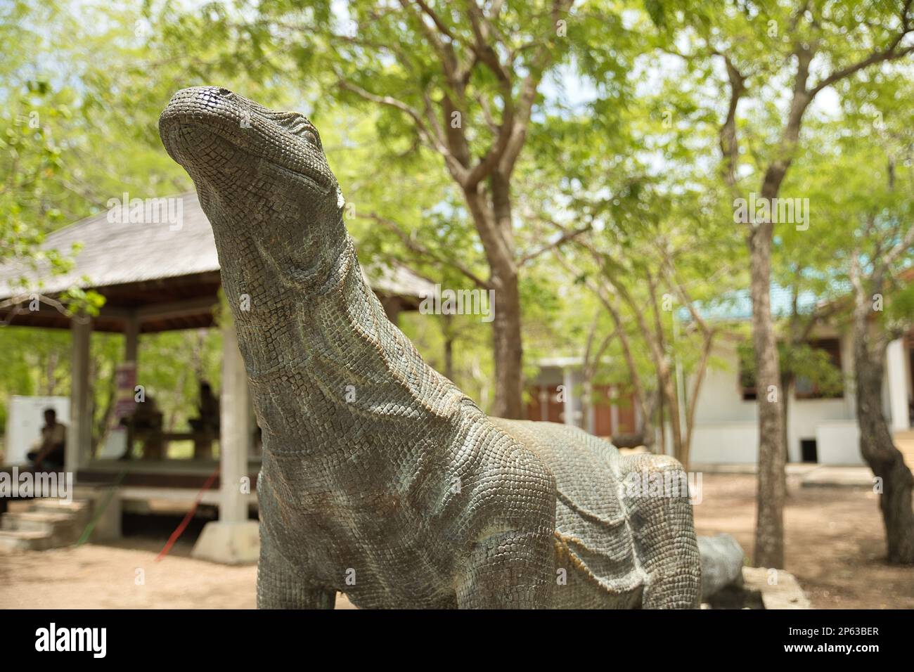 Close up of Komodo dragon statue on Komodo Island lying on the beach in ...