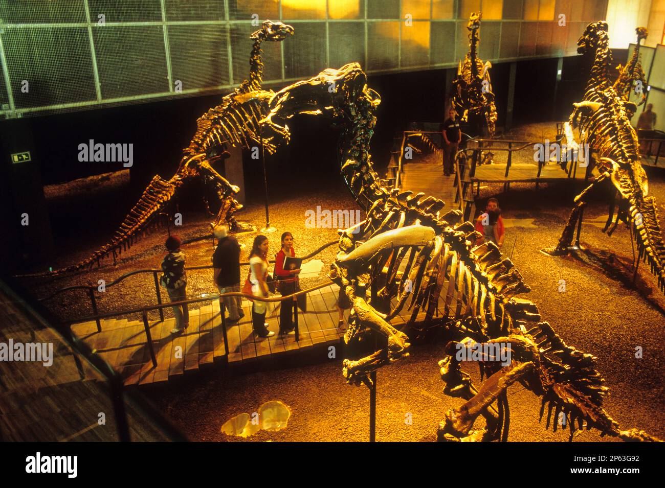 Barcelona: Museum of the science (Cosmocaixa). Dinosaurs Stock Photo ...
