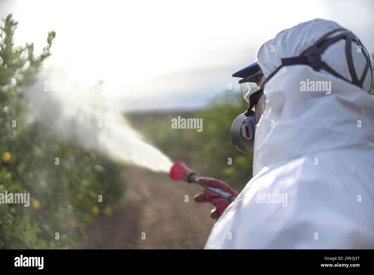 Spray ecological pesticide. Farmer fumigate in protective suit and mask ...