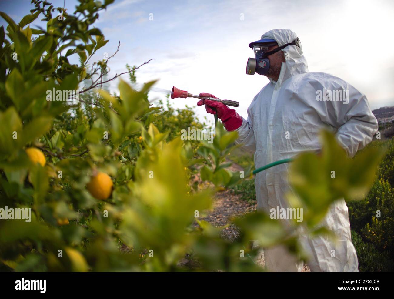 Spray ecological pesticide farmer fumigate hi-res stock photography and ...
