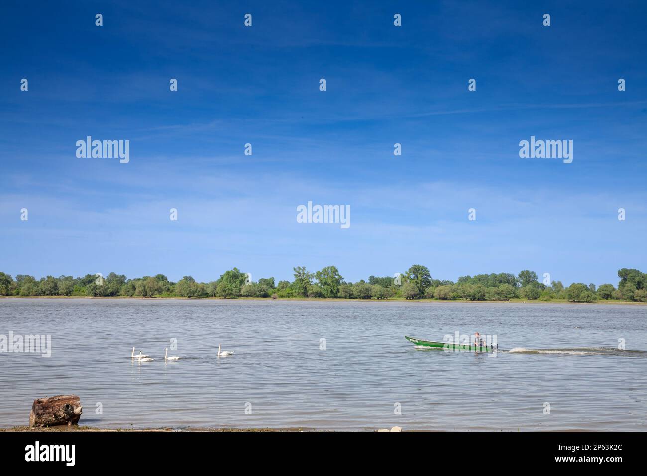 Panorama of the Danube river in Serbia in Krcedin, Vojvodina, with ...