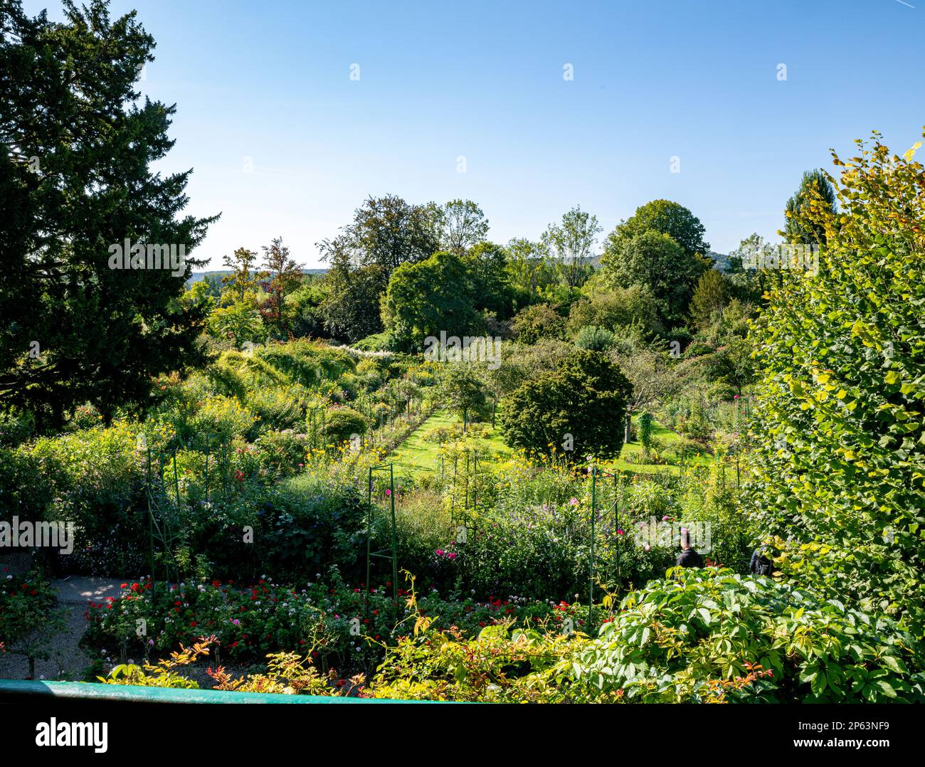 the flowers and plants in the gardens of monet in france Stock Photo ...