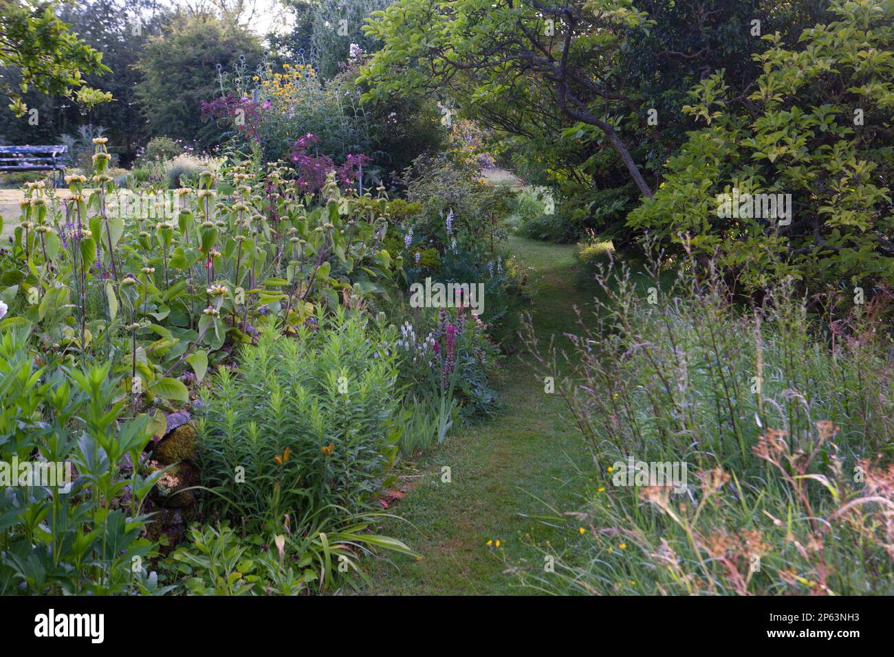 A grass pathway gently curves around a flower border Stock Photo - Alamy