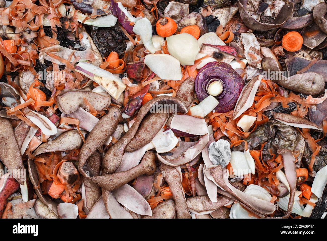 Vegetable decomposition hi-res stock photography and images - Alamy