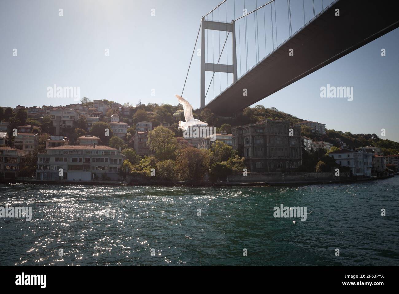 Picture of the Istanbul second Bosphorus bridge seen from below during ...
