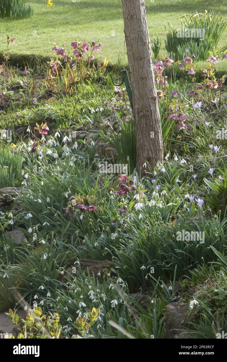 In border hi-res stock photography and images - Alamy