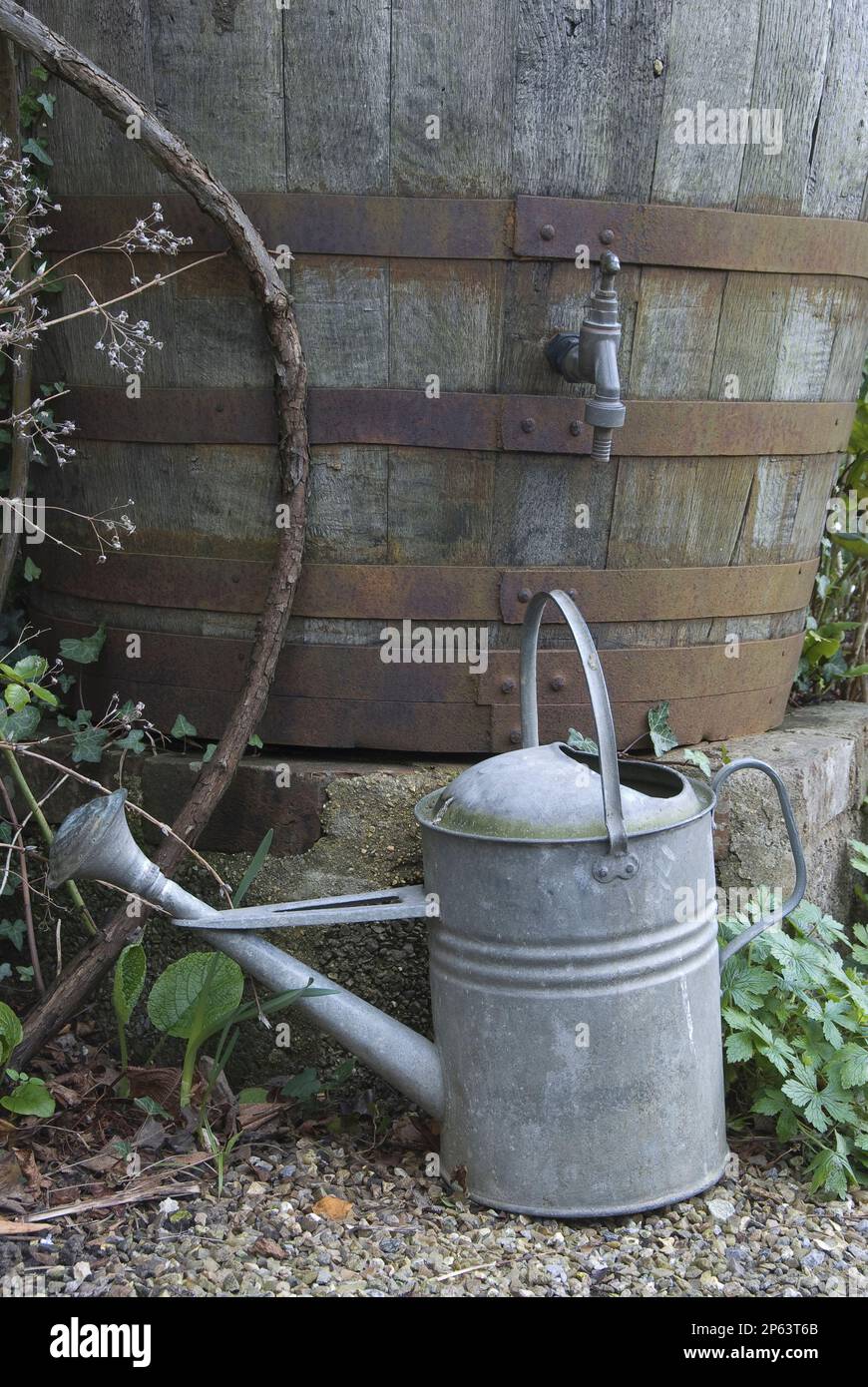 Watering can and water butt Stock Photo - Alamy