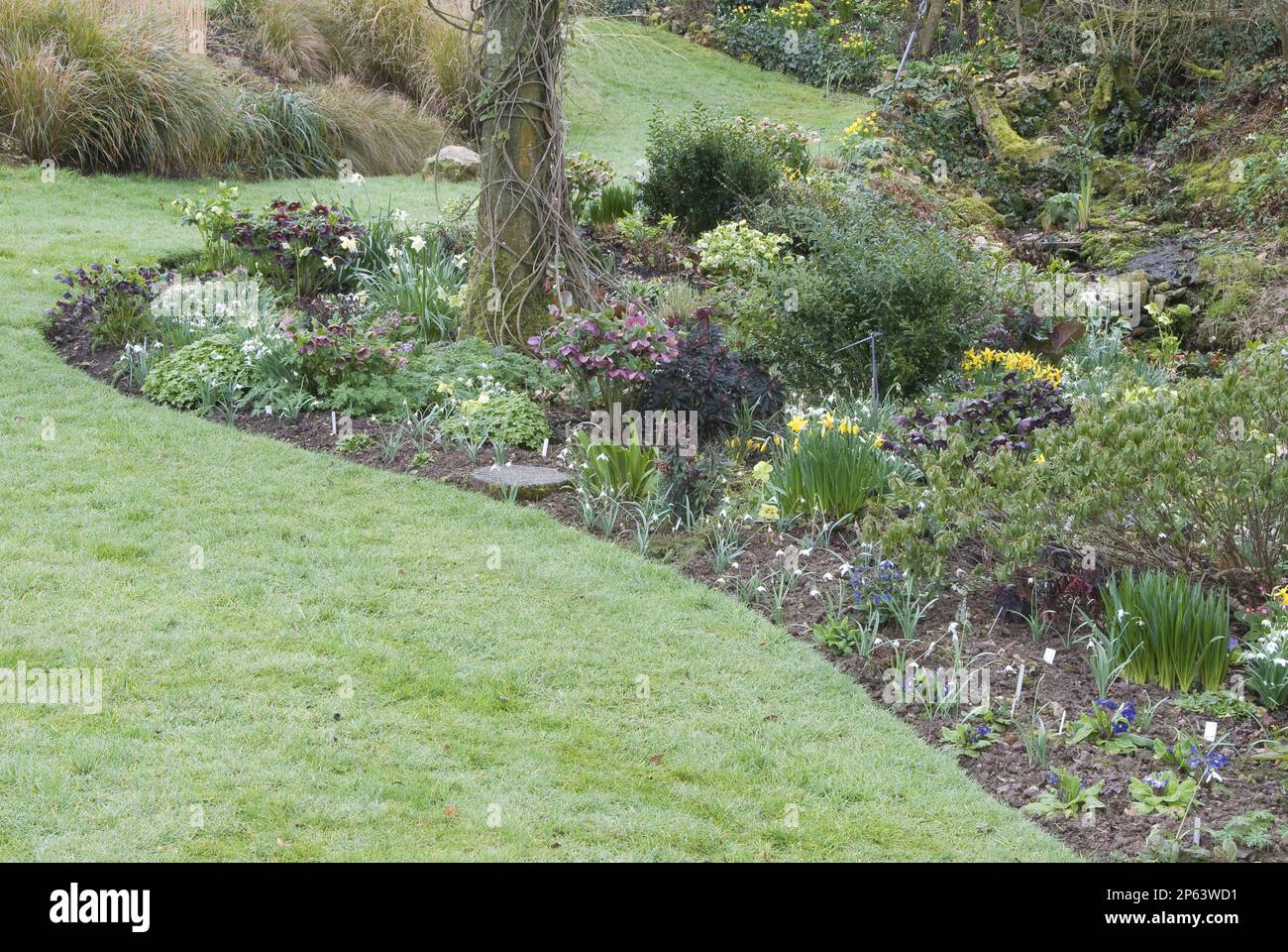 flowering spring garden border with trimmed lawn path curves Stock ...
