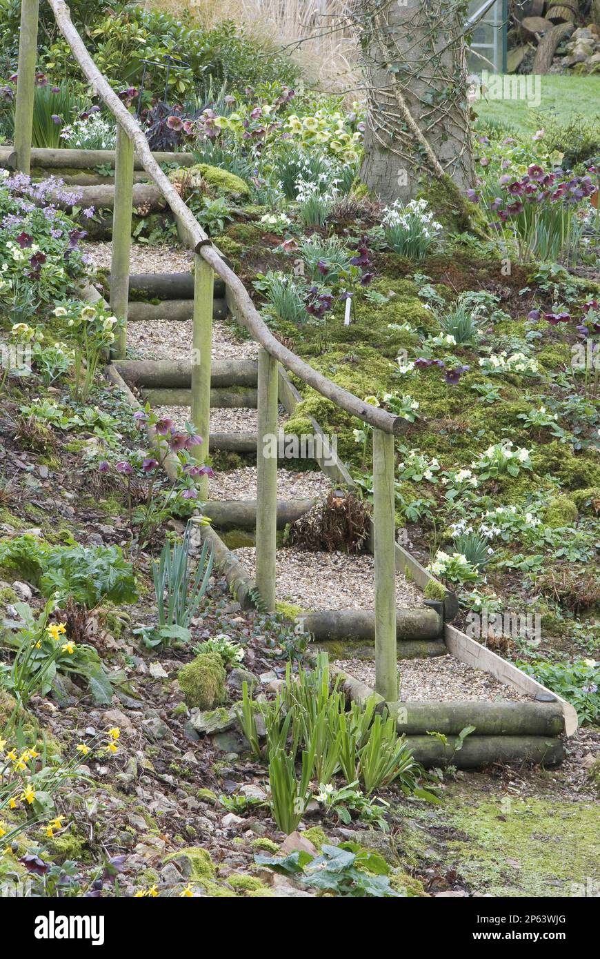 stair steps of gravel and tree branches on sloping border in country ...