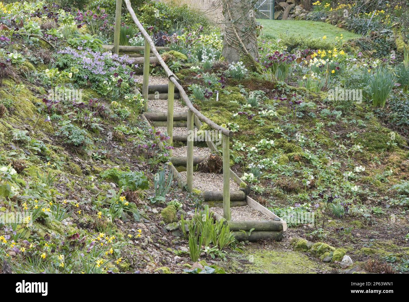natural staircase with gravel steps and wooden rail made with tree ...