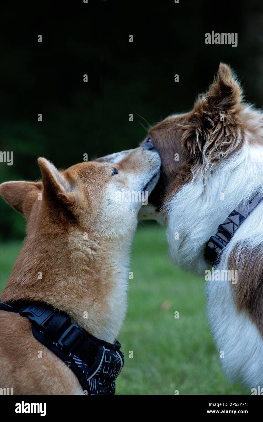 Females outside together hi-res stock photography and images - Alamy