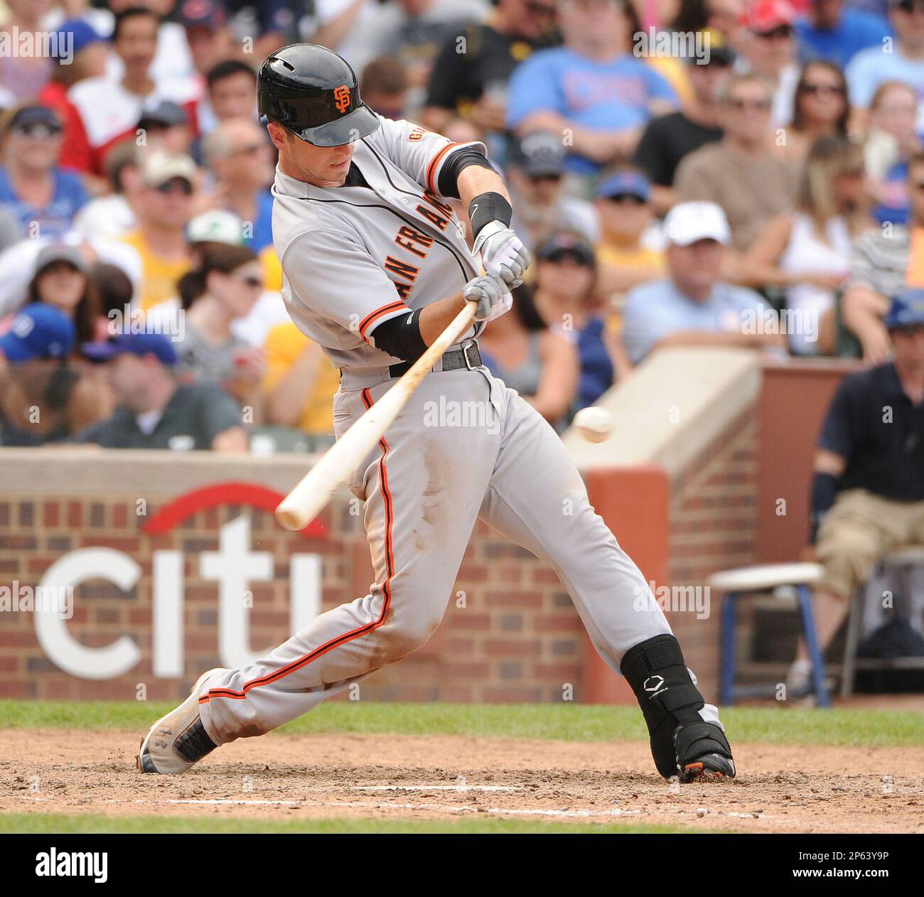 San Francisco Giants Buster Posey (28) in action during a game against ...