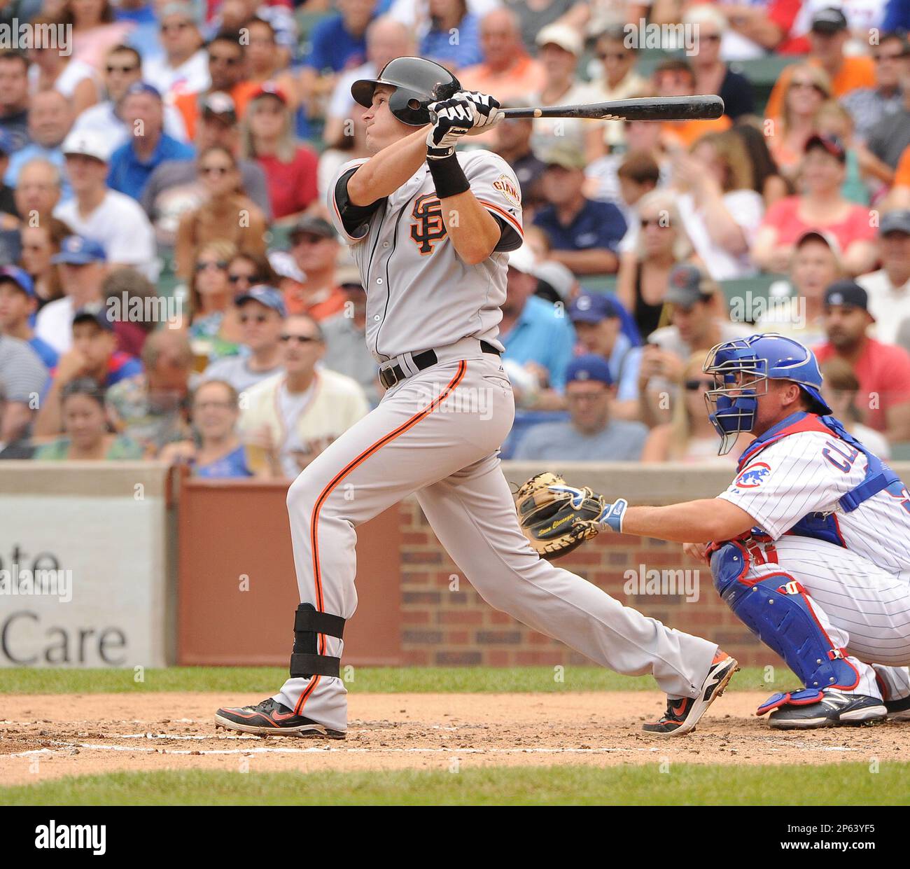 San Francisco Giants Brett Pill (6) in action during a game against the ...