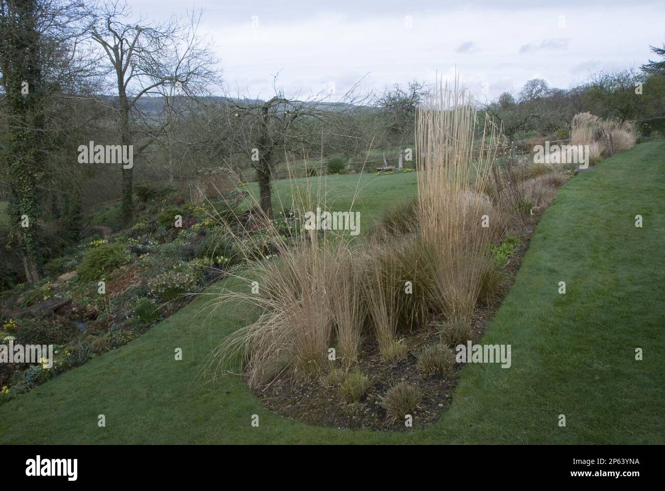 sloping lawn with spring flower beds with country behind in winter ...