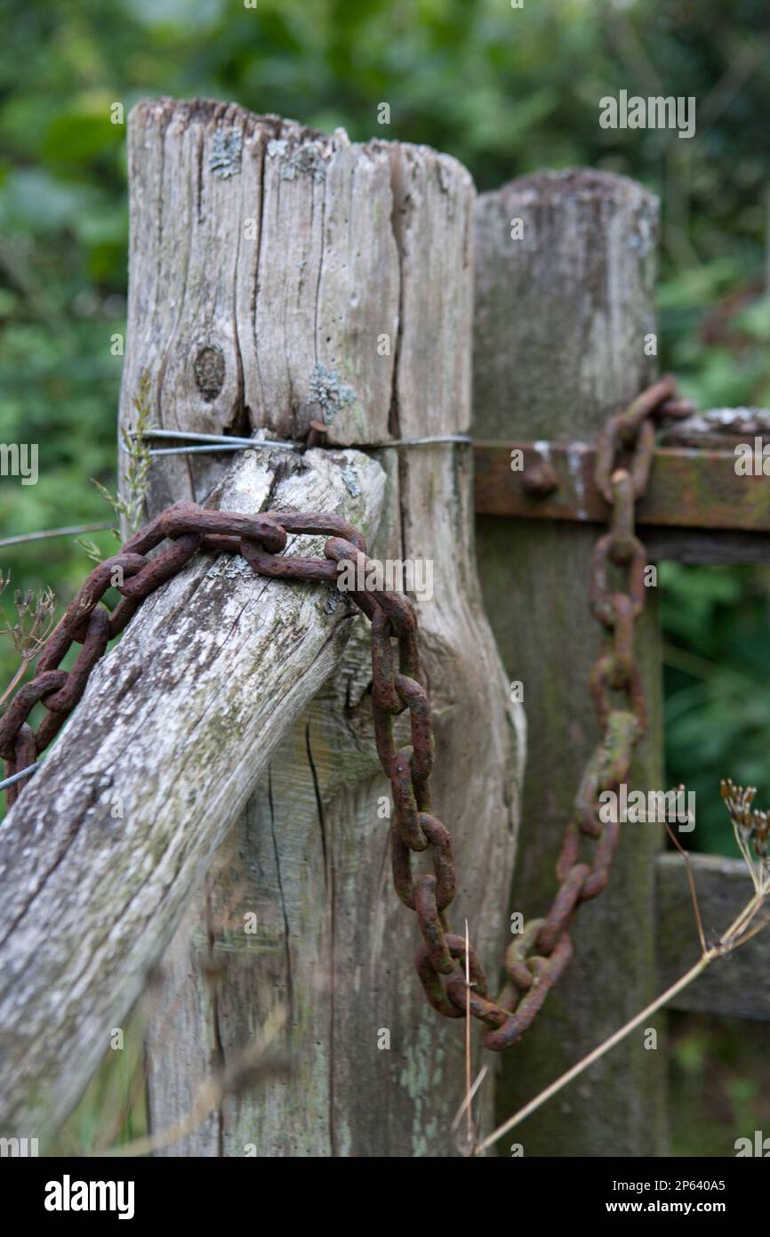 rusted iron chain looped around old wooden gatepost in country garden ...