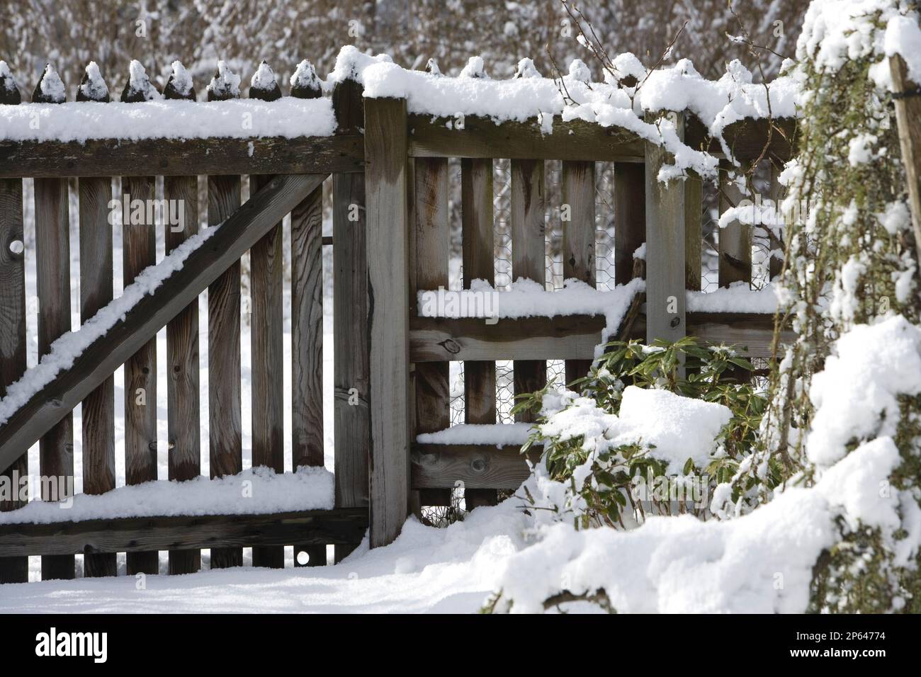 snow on wooden garden gate and fence winter Stock Photo - Alamy