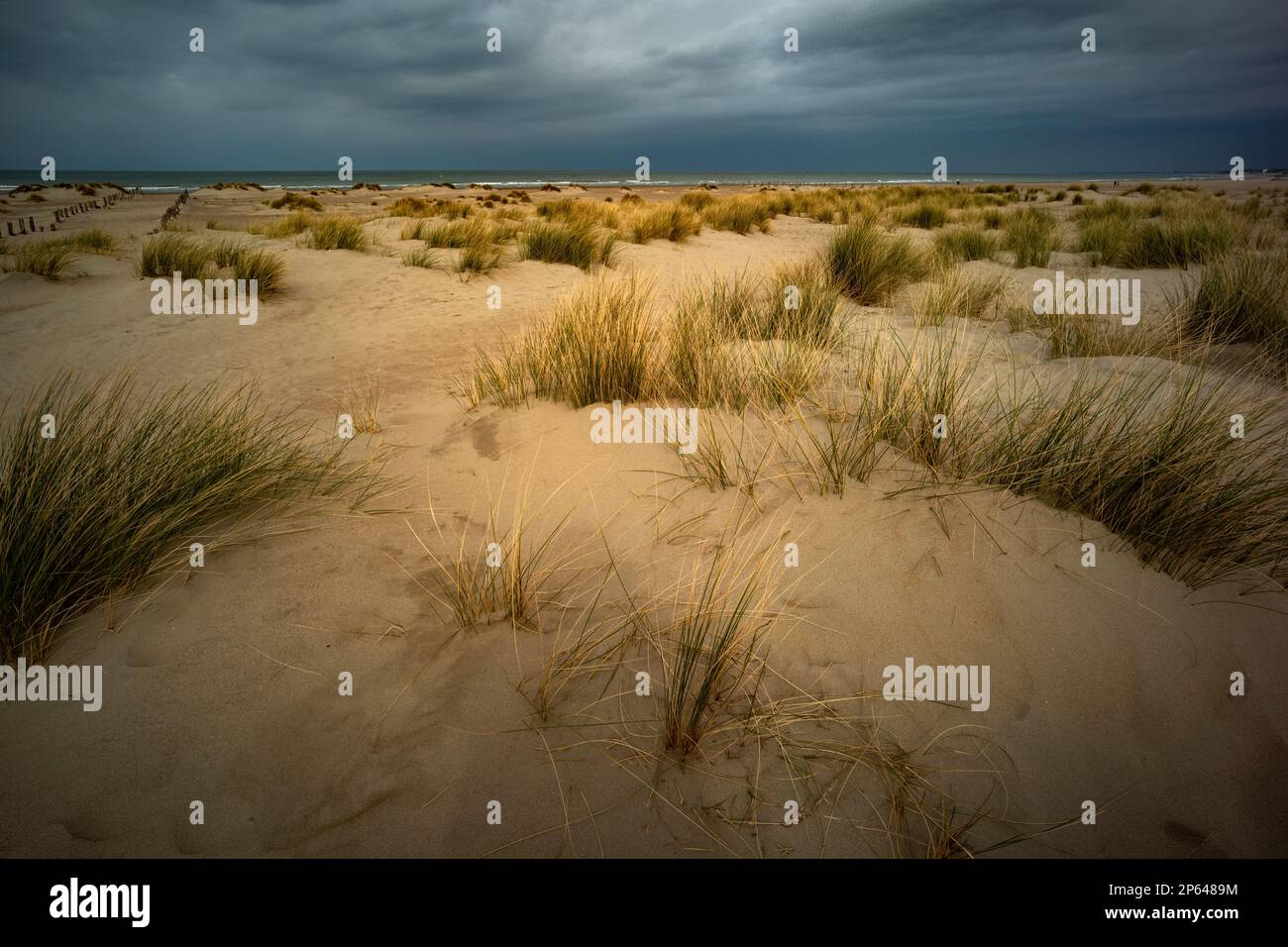 Dunkirk Dunkerque Beach Sand Dunes Pas de Calais France Stock Photo - Alamy