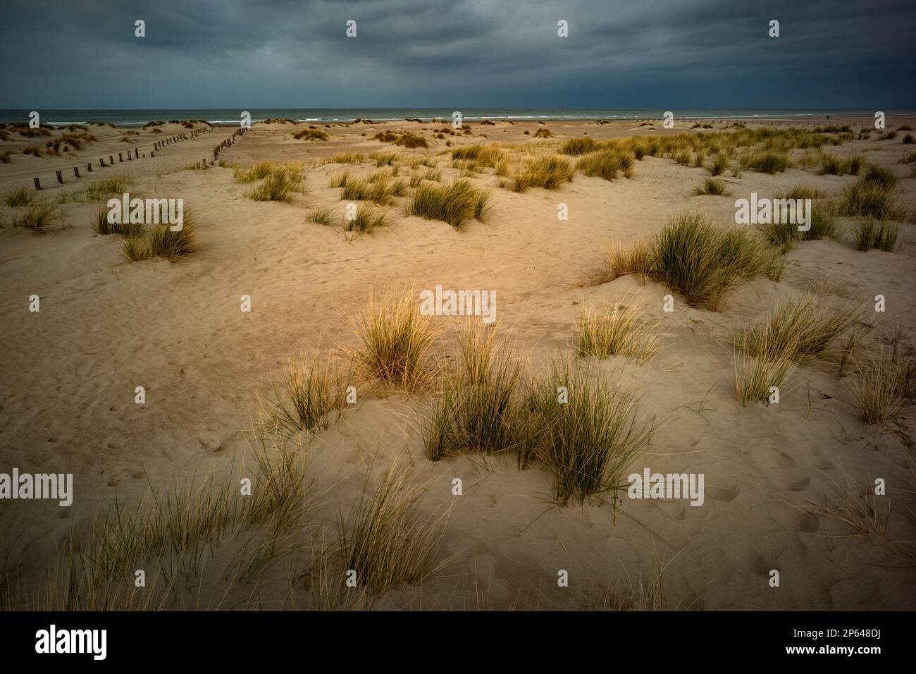 Dunkirk Dunkerque Beach Sand Dunes Pas de Calais France Stock Photo - Alamy