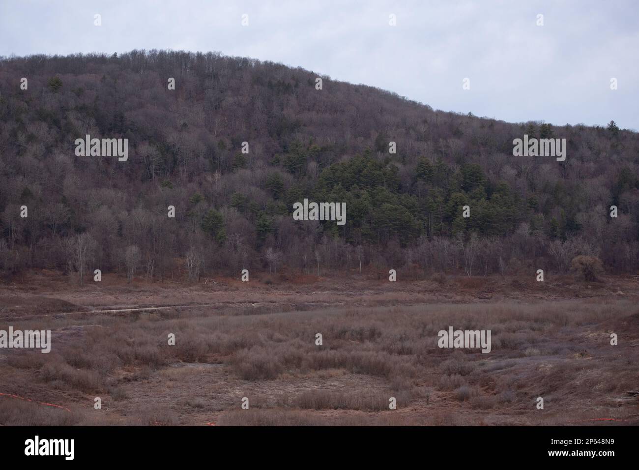 Winter Landscape Scene in Massachusetts Stock Photo - Alamy