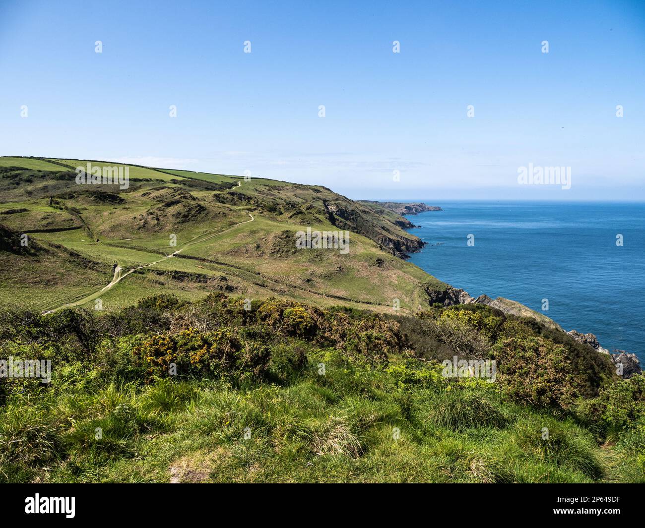 Ilfracombe, seaside resort, North Devon, England Stock Photo - Alamy