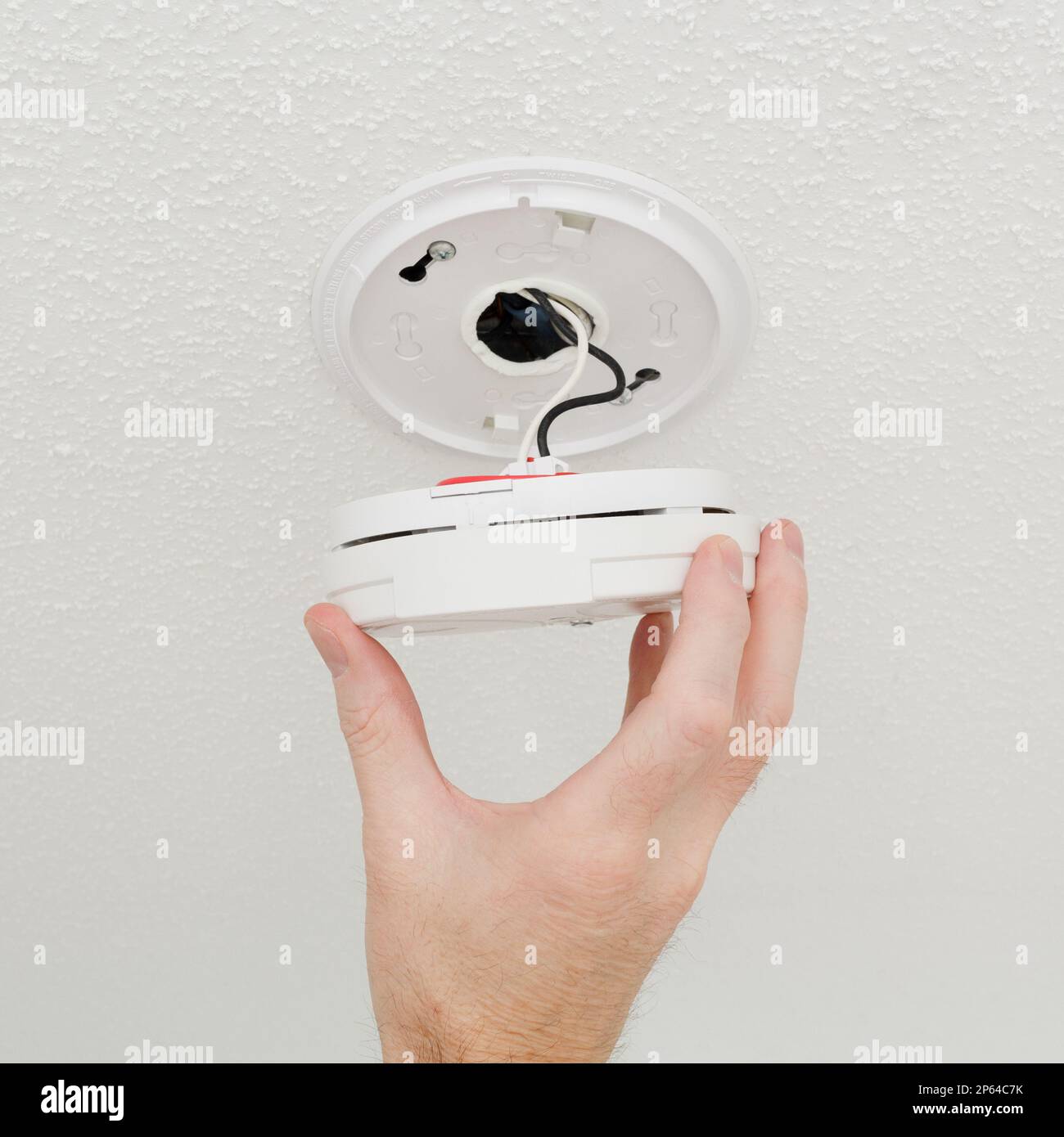 Person checking wired in ceiling smoke detector Stock Photo - Alamy
