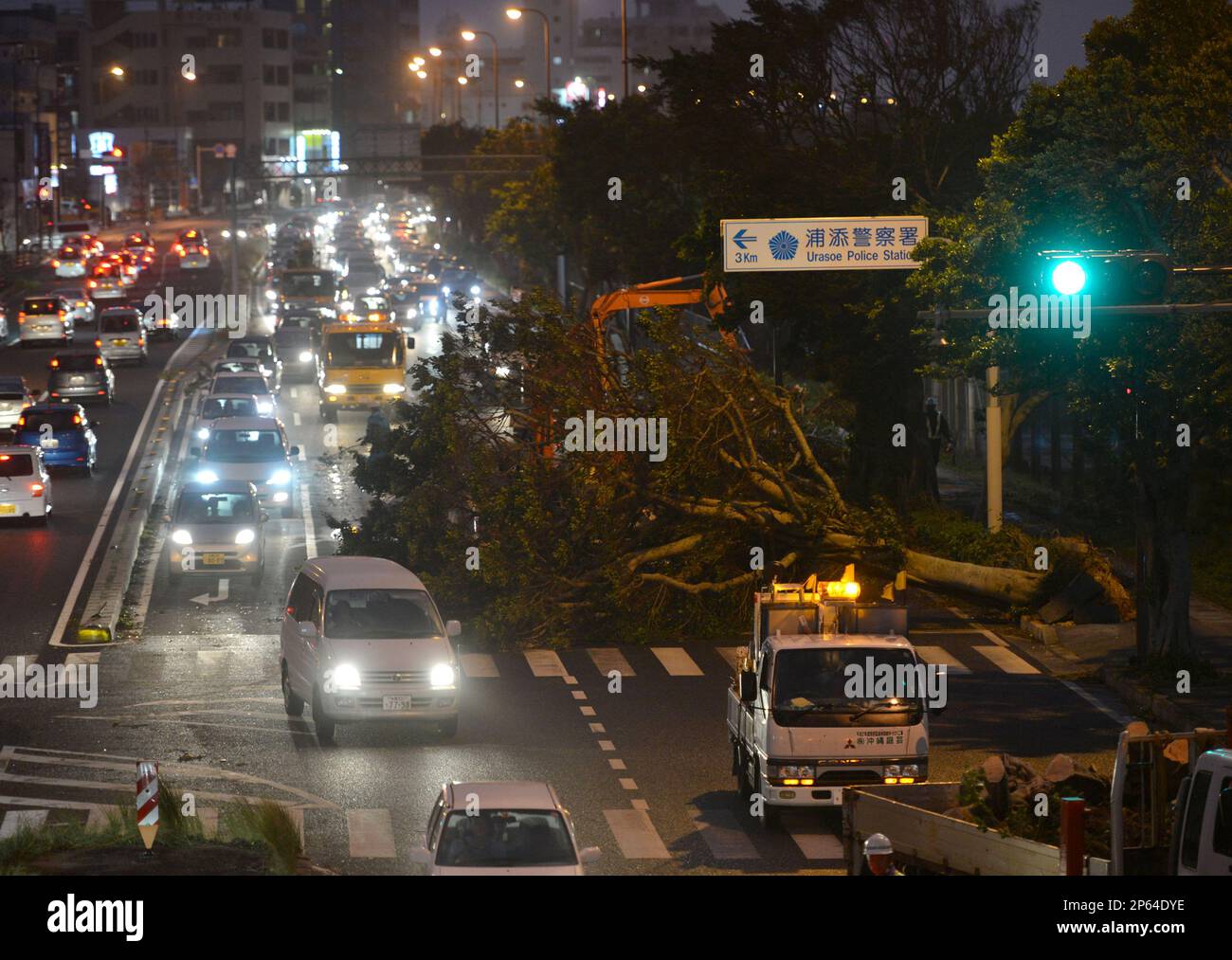 Roadside trees fall in the middle of the street by a strong wind due to ...