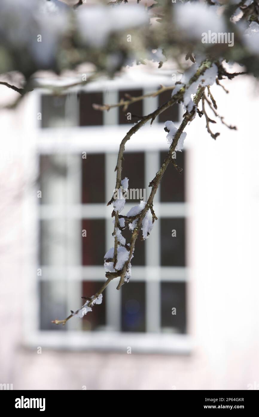 White paned window hi-res stock photography and images - Alamy