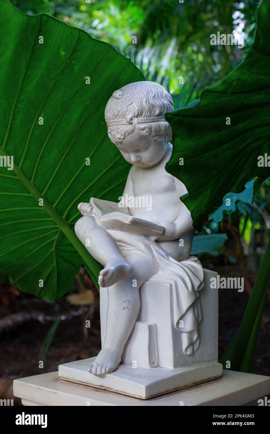 Statue of a Young Child Reading Stock Photo - Alamy
