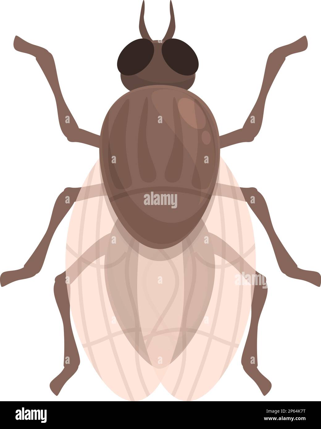 Etching tsetse fly icon cartoon vector. Africa insect. Nature wings ...