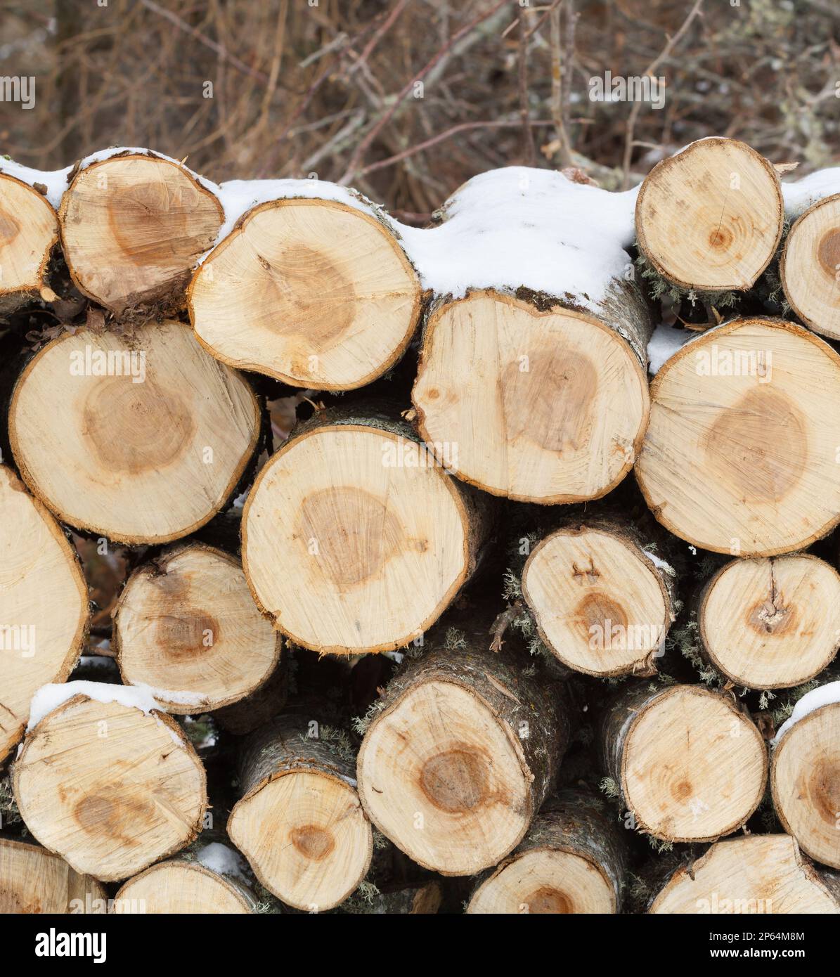 Stacked hardwood logs ready to be split for firewood Stock Photo - Alamy