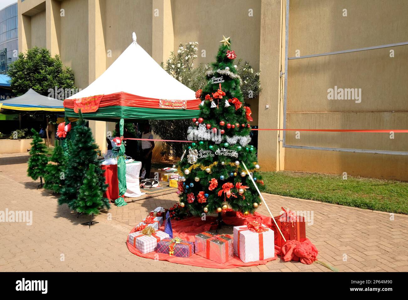 Rwanda, Kigali, christmas tree Stock Photo - Alamy