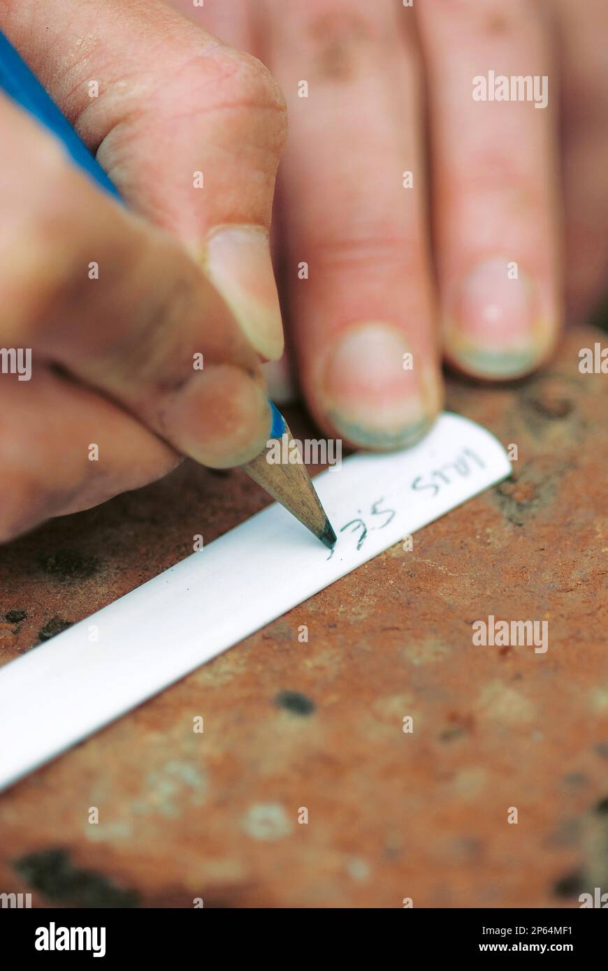 Seed label hi-res stock photography and images - Alamy