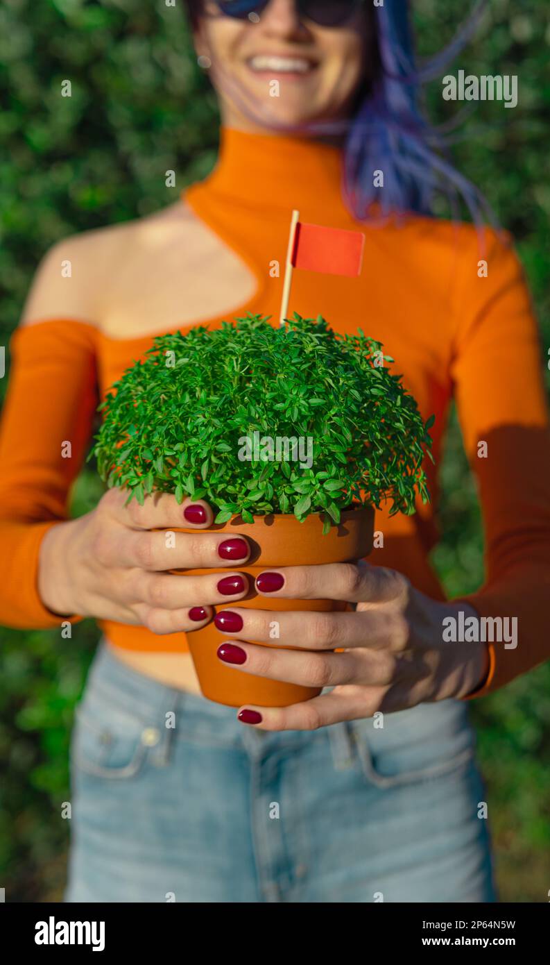 Woman with Manjerico plant outdoors Stock Photo - Alamy