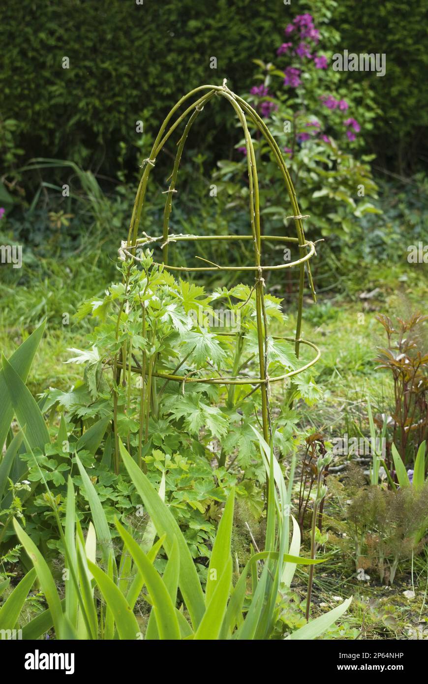 Supporting plants hi-res stock photography and images - Alamy