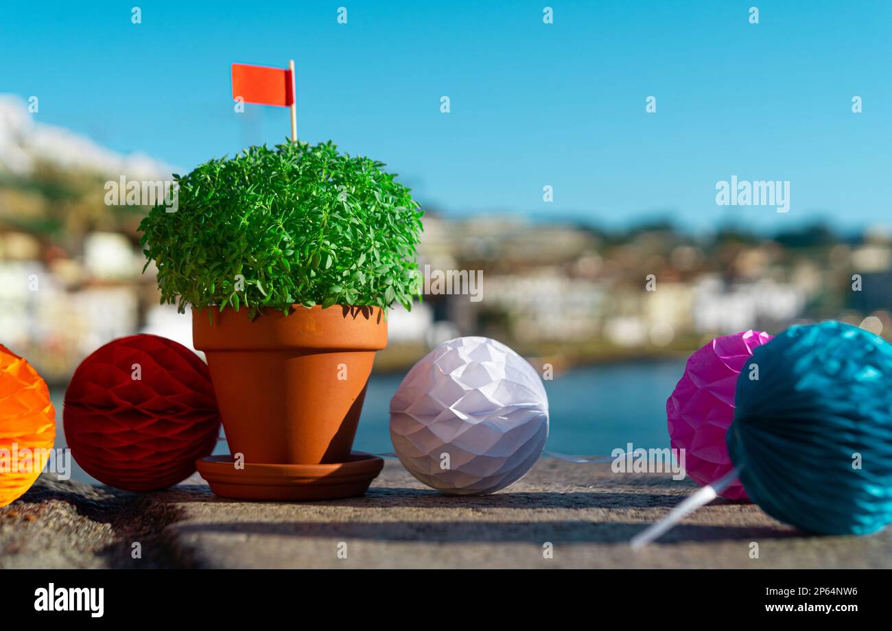 Manjerico plant against Portugal city Stock Photo - Alamy