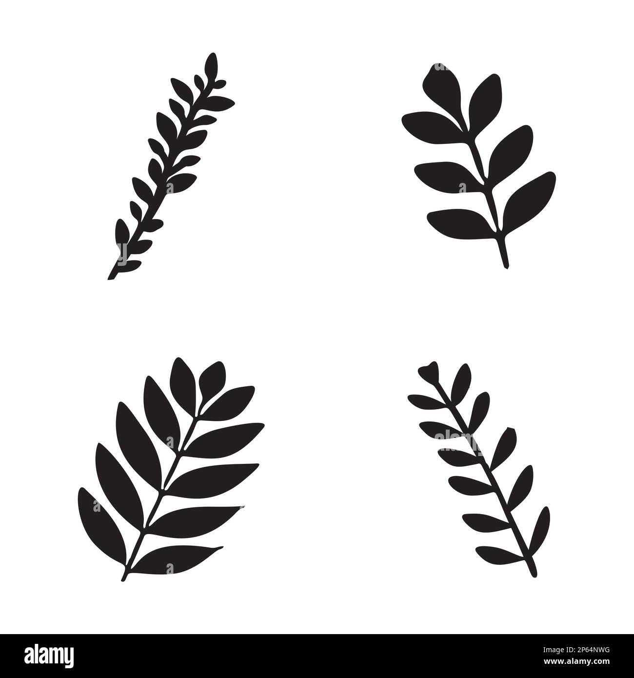 Woodland fern botanical icon set. Collection of garden sprigs for ...