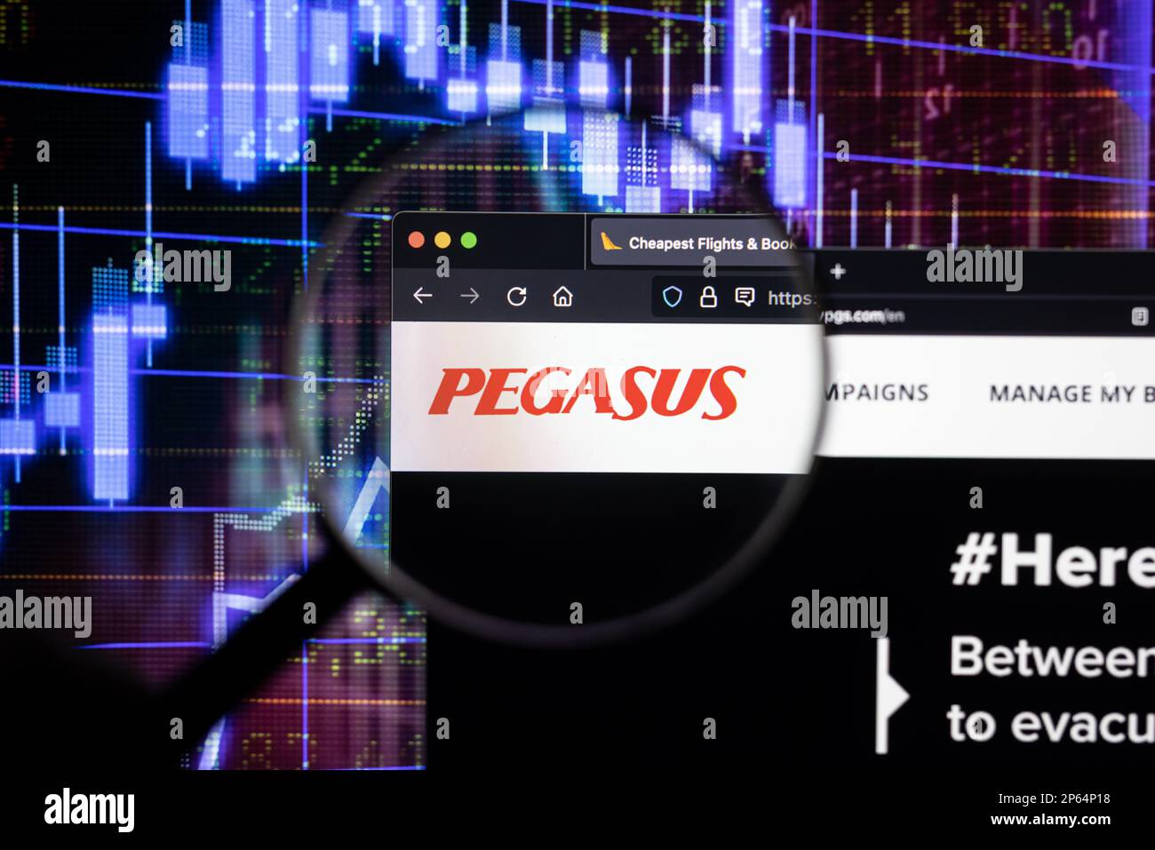 Pegasus airline company logo on a website with blurry stock market developments in the ...