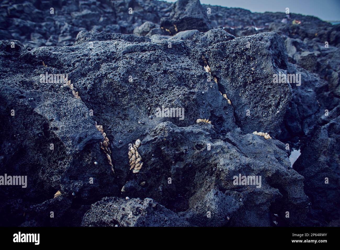 Hydrovolcanic eruptions island hi-res stock photography and images - Alamy