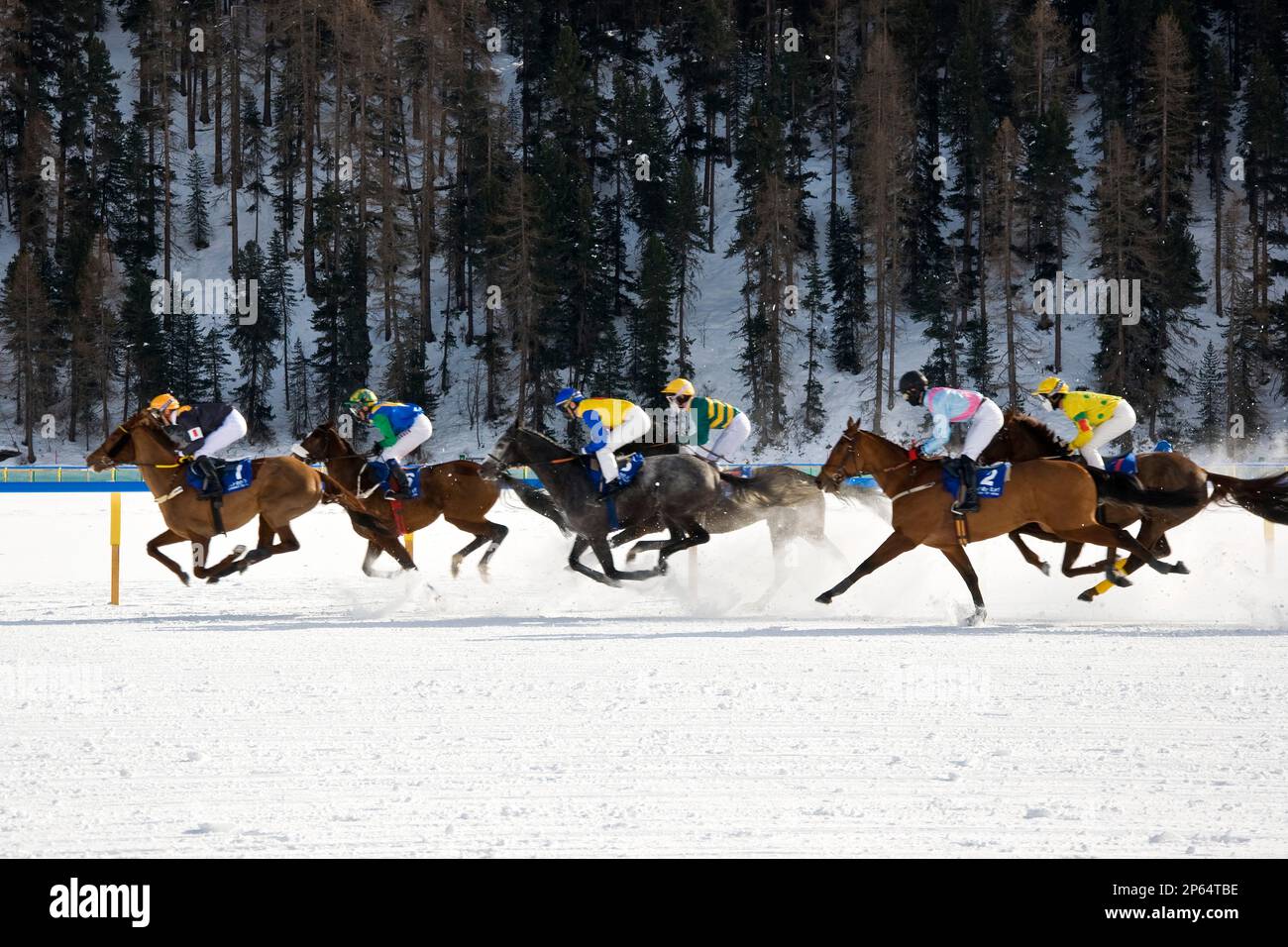 Switzerland, St. Moritz, White turf race Stock Photo - Alamy