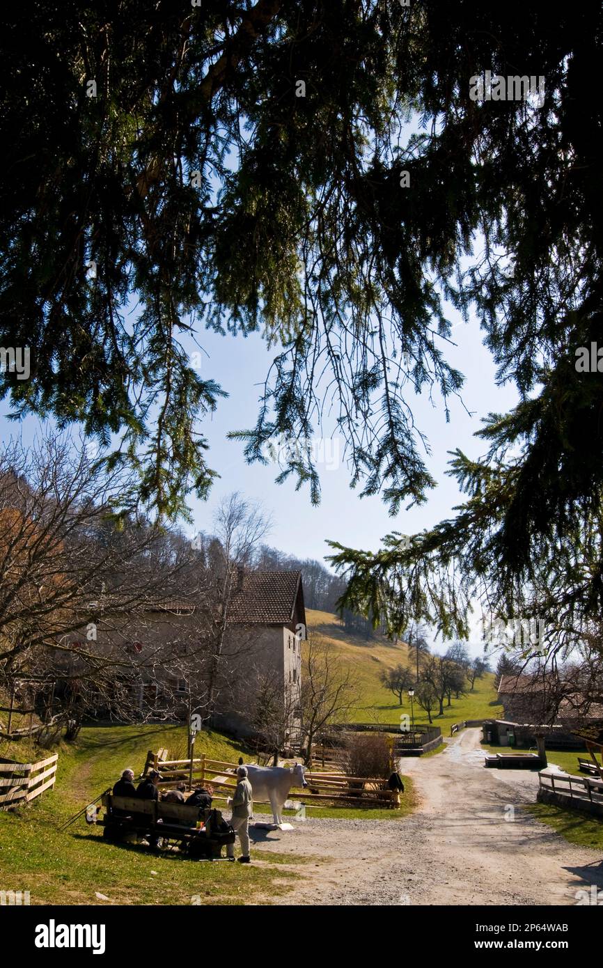 Heidi village hi-res stock photography and images - Alamy