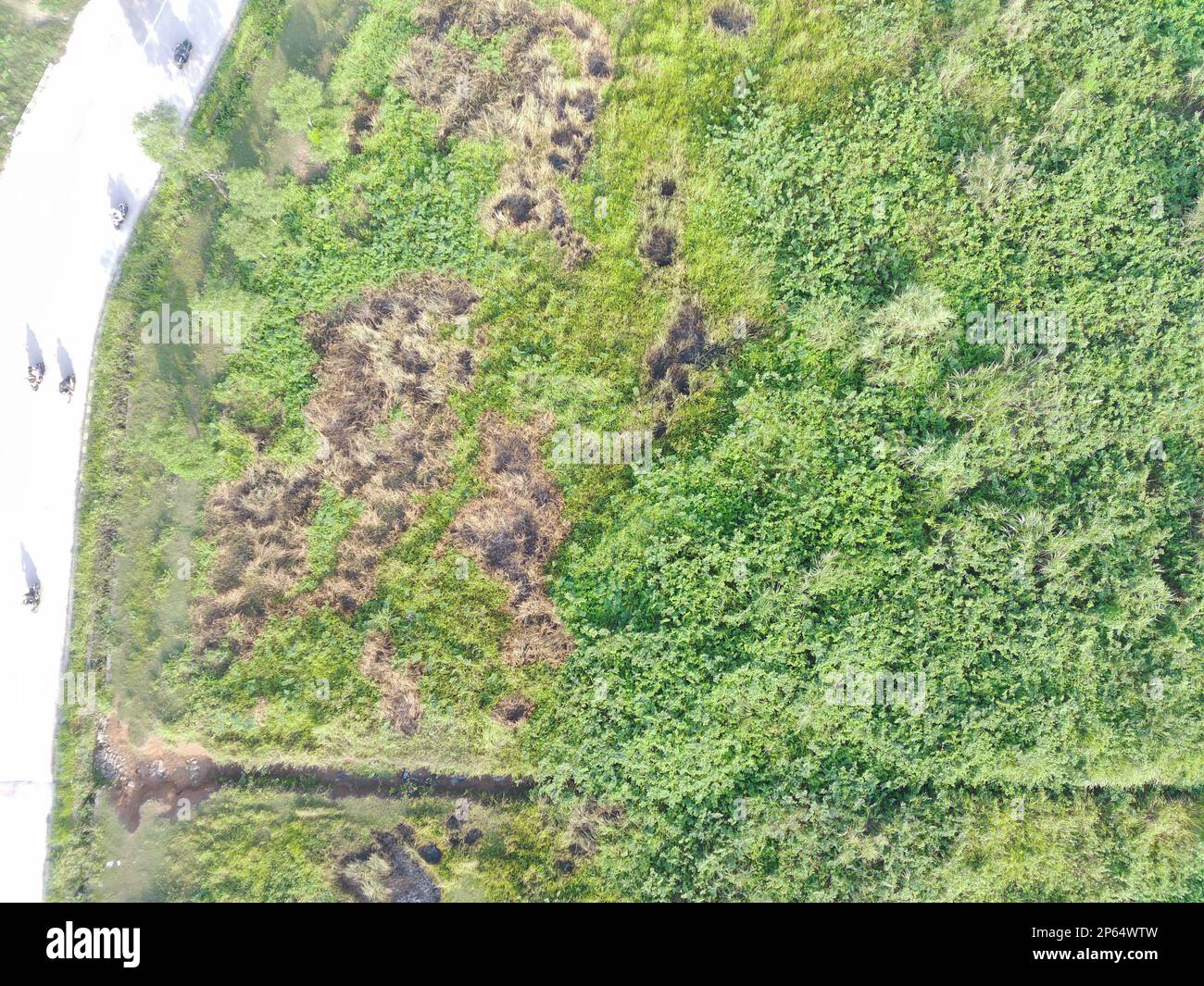 Bogor map hi-res stock photography and images - Alamy