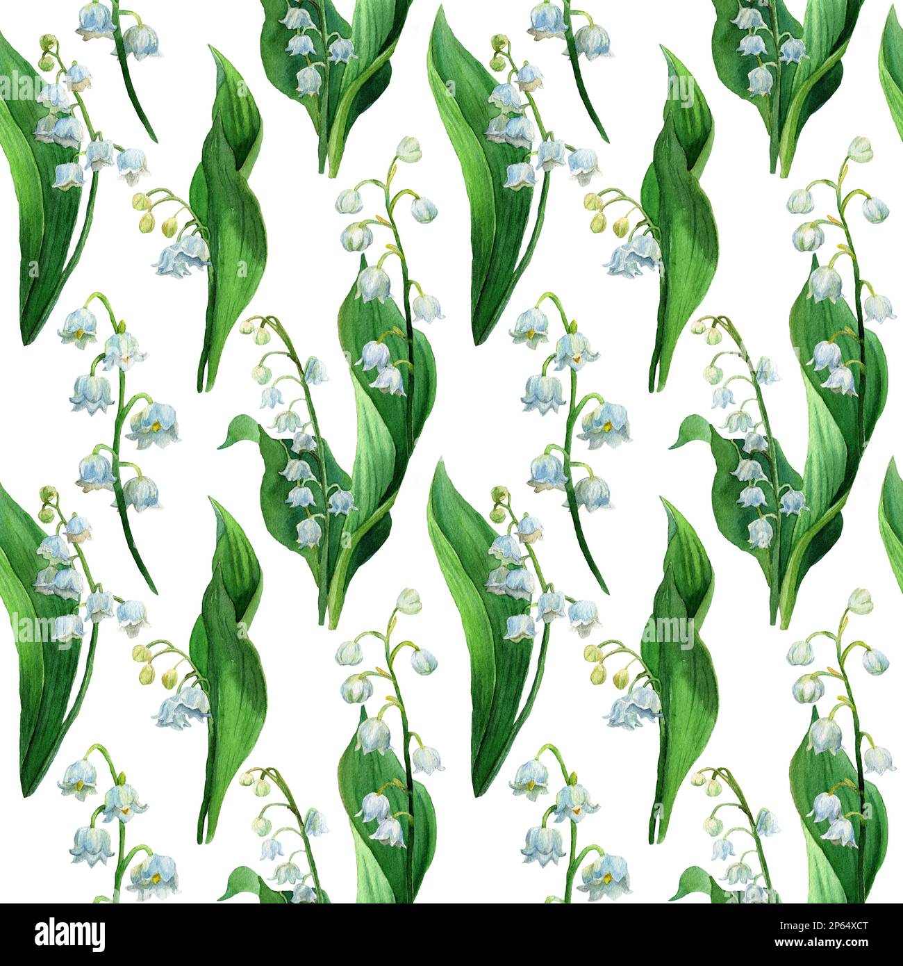 Watercolor seamless pattern lily of the valley, white flowers and green ...