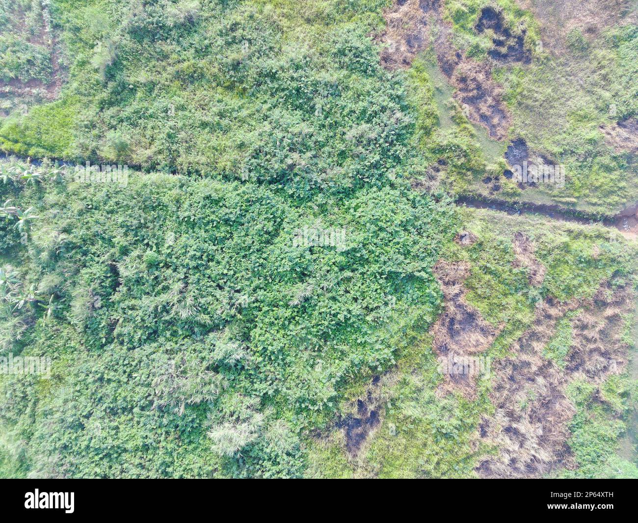 aerial view of land mapping by unmaned aerial vehicle in Bogor ...