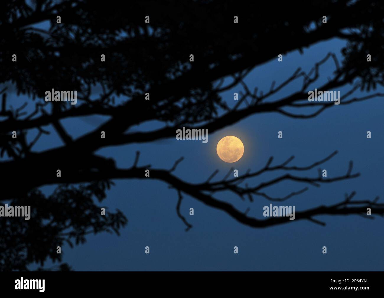 Photograph of the full moon as it rises over Singapore on 19 March 2011 ...